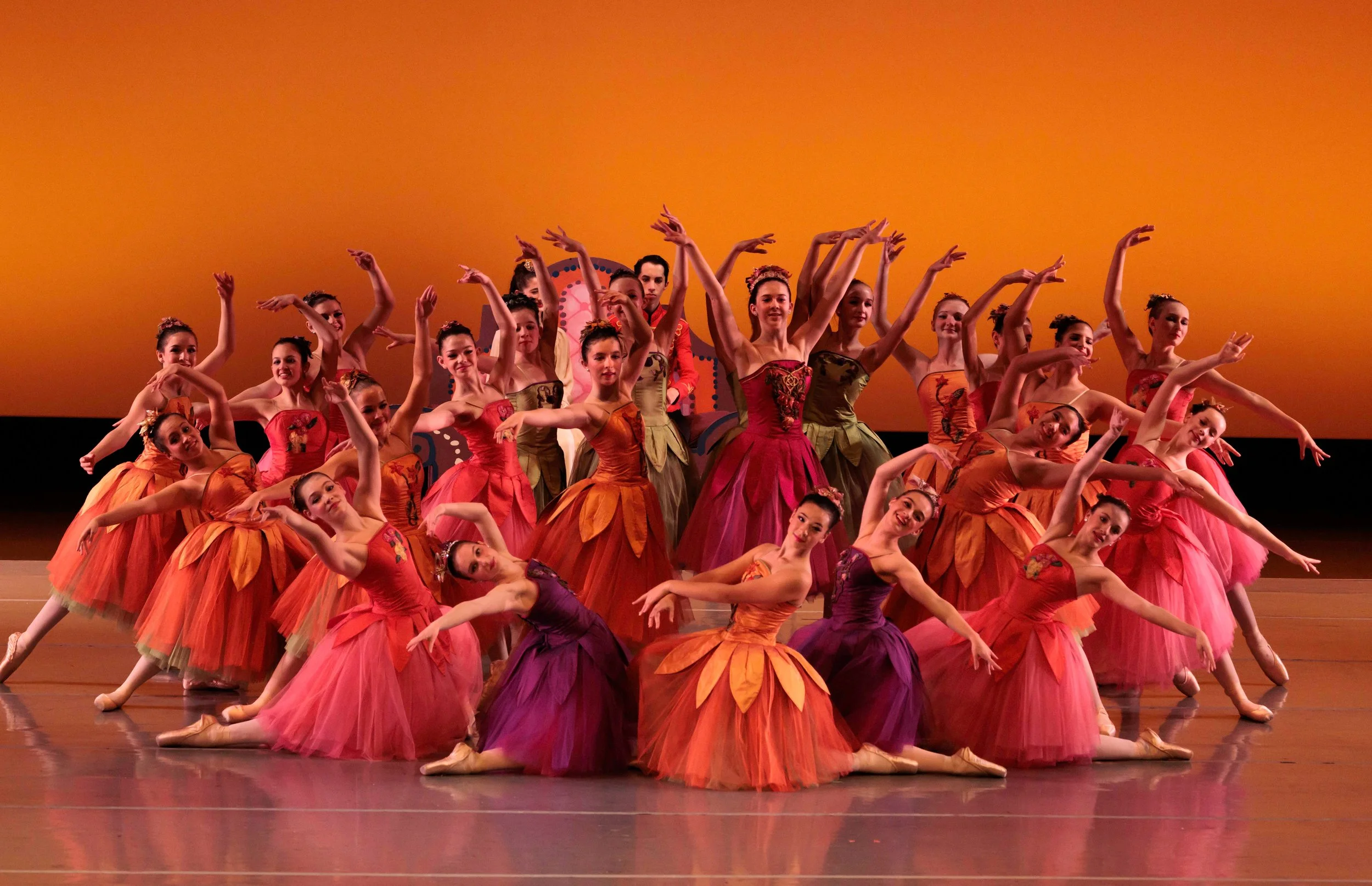 Stapleton School of the Performing Arts