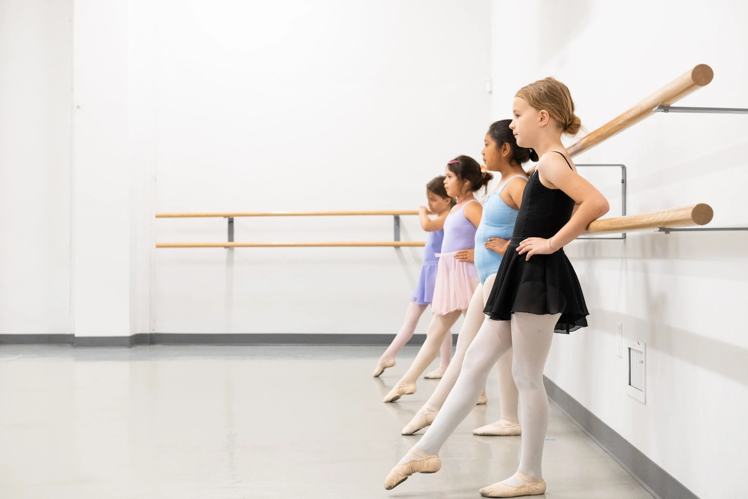 Stapleton School of the Performing Arts