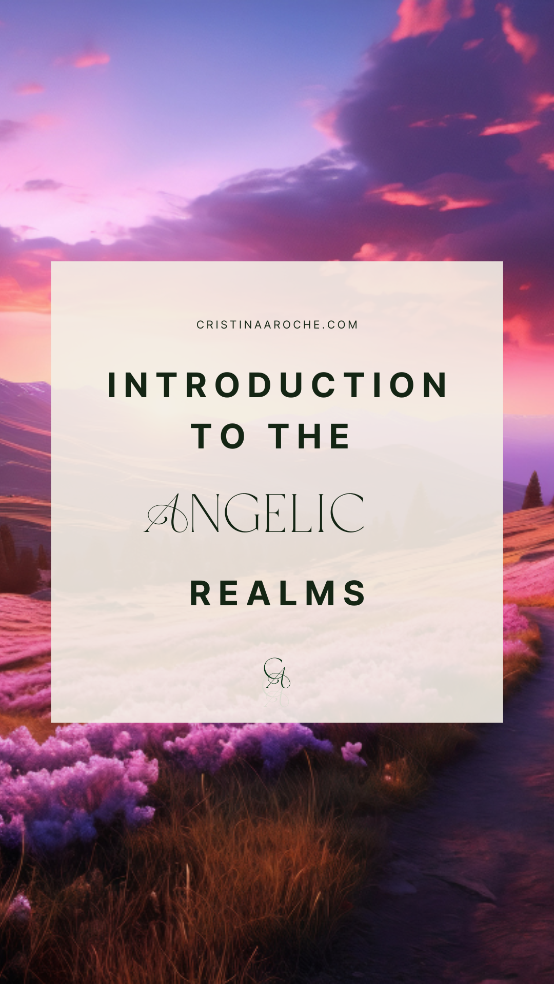 Introduction to the Angelic Realms — Cristina Aroche