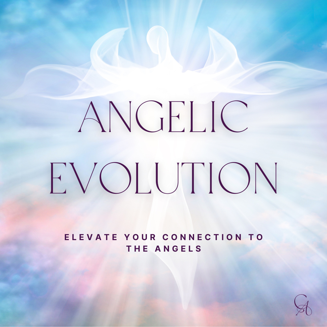 The Healer's Bundle — Cristina Aroche