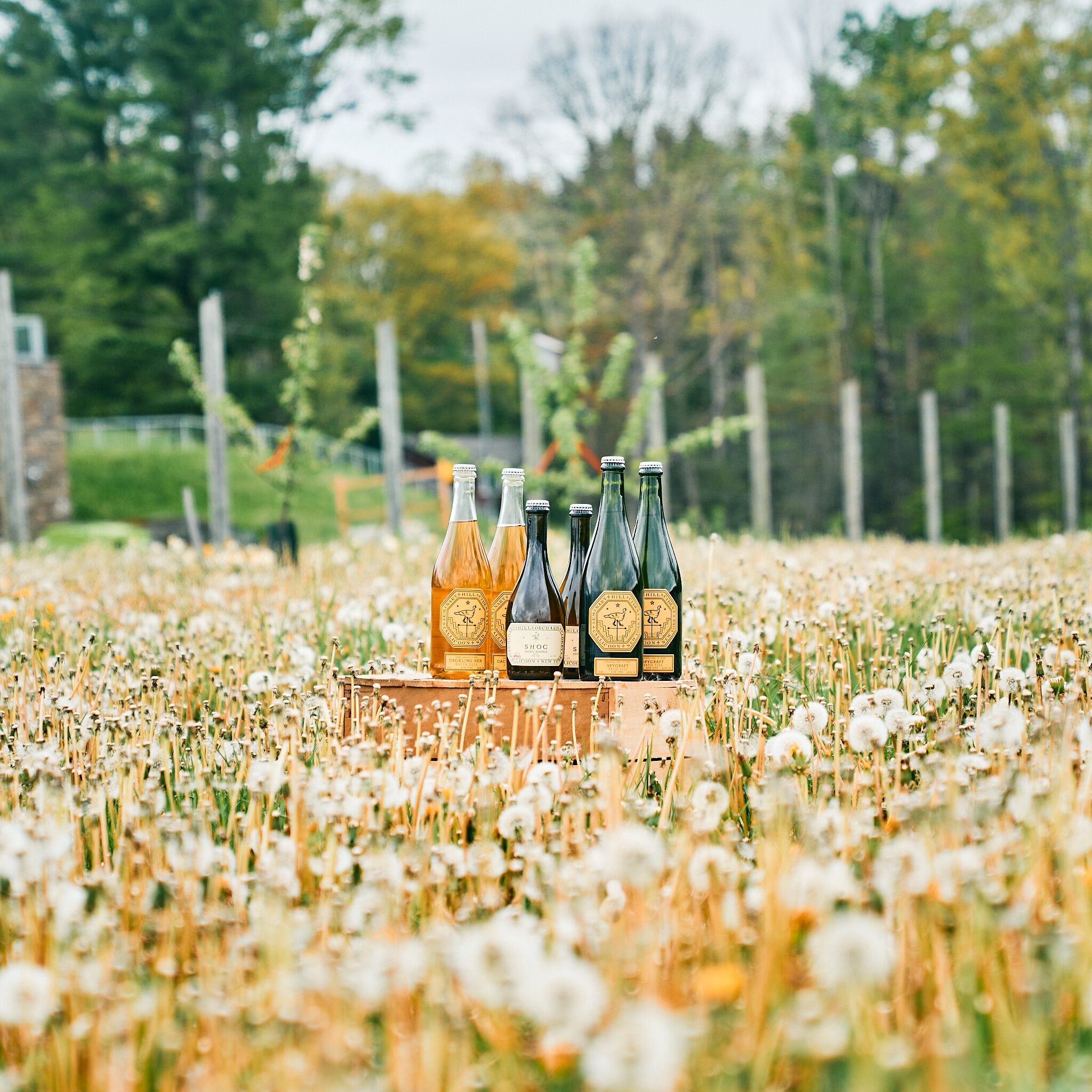 Catskills Hotel, Restaurant, Orchard & Cidery | Seminary Hill