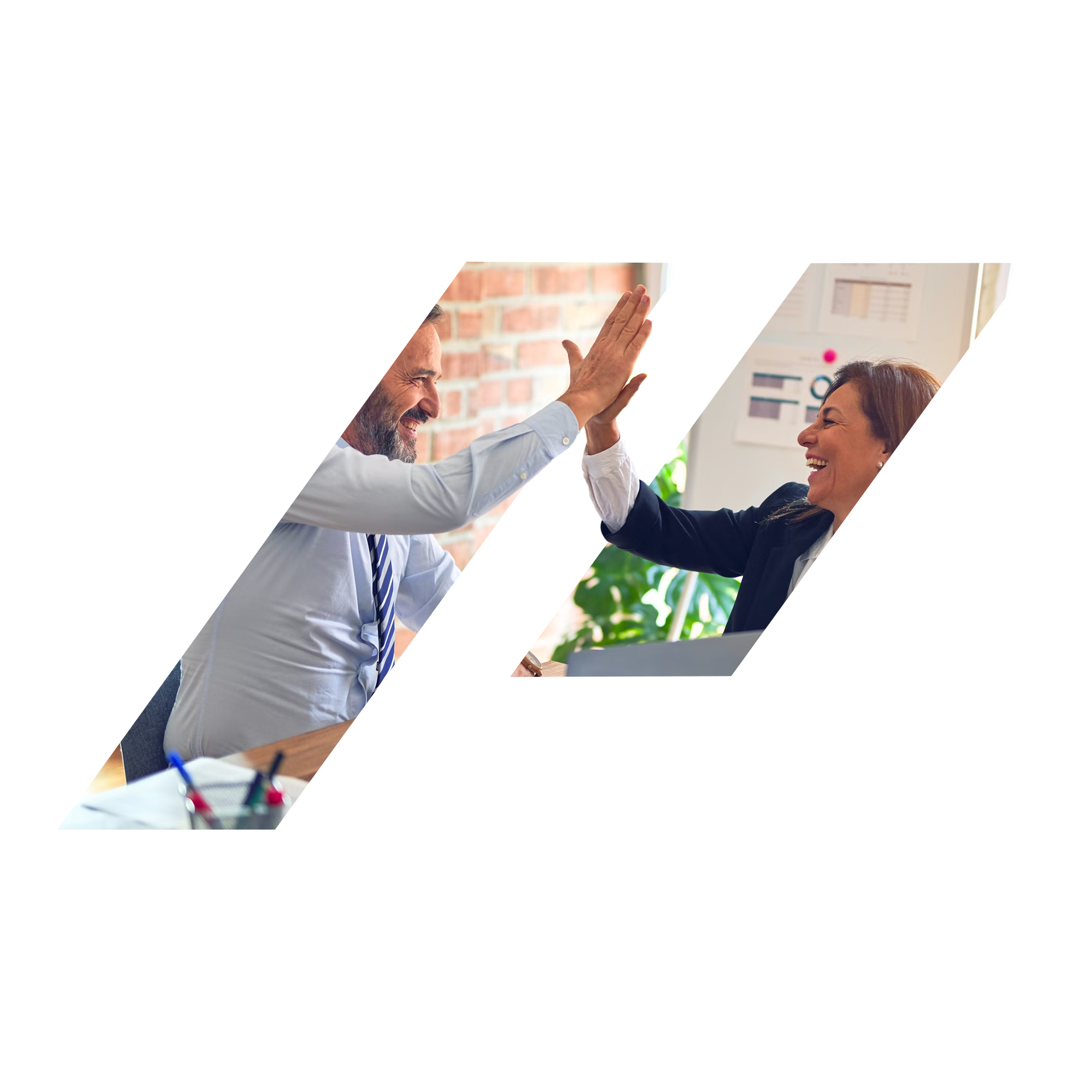 Ensuring Excellence — Welcome to In Partnership