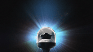 Official Lightstick — The Rose