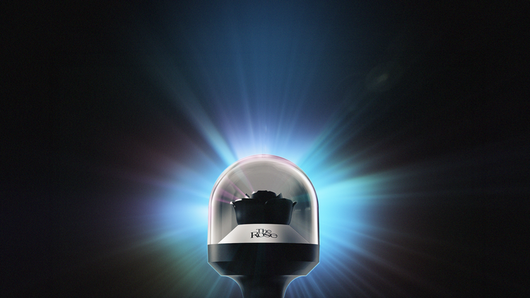 Official Lightstick — The Rose