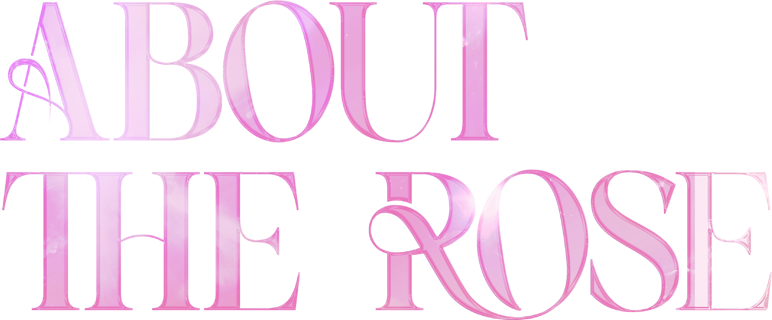 About 4 — The Rose