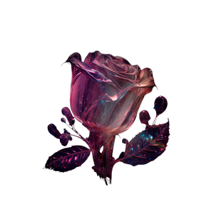 About 4 — The Rose