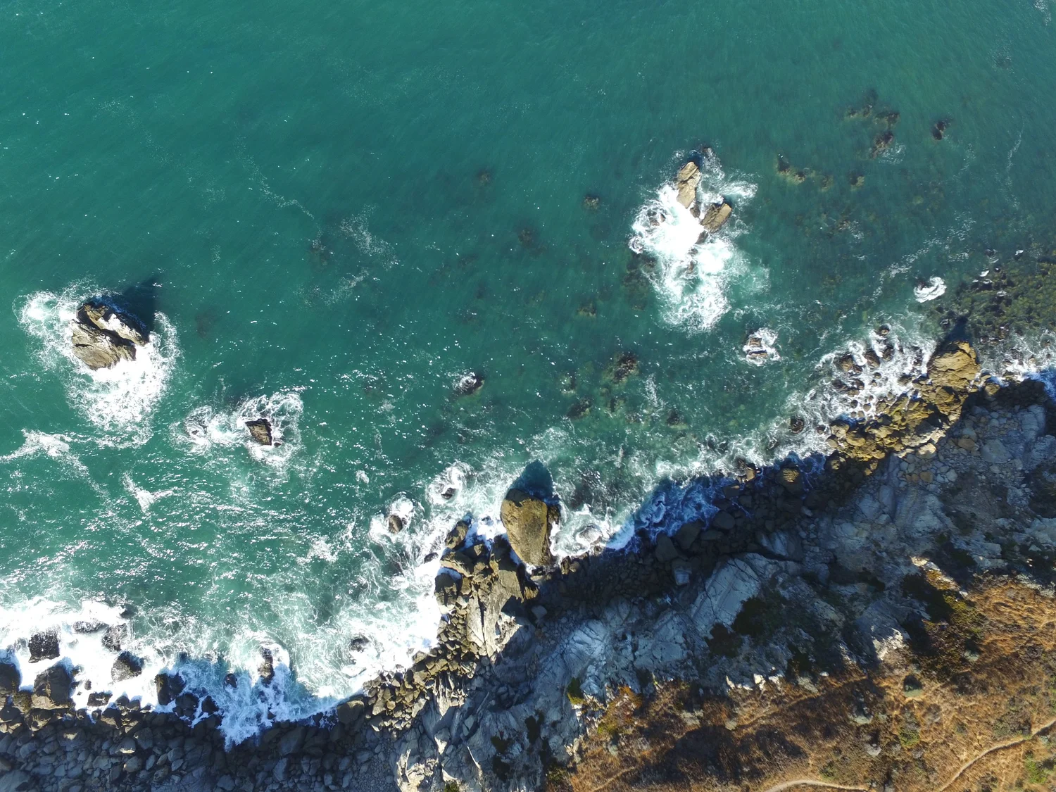 NatMap — Understory