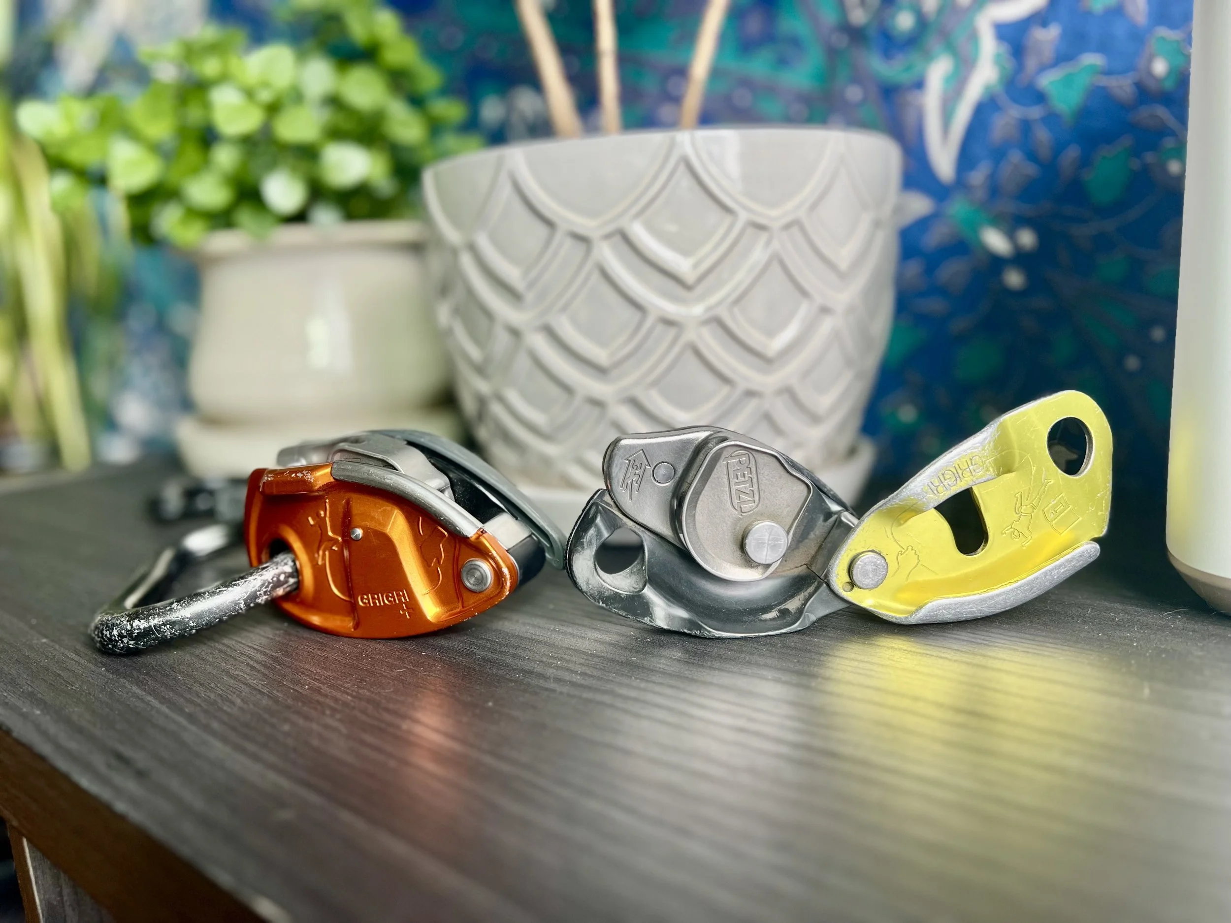 What Belay Device Should You Get? (Spoiler—It’s A Grigri) — Tucson ...
