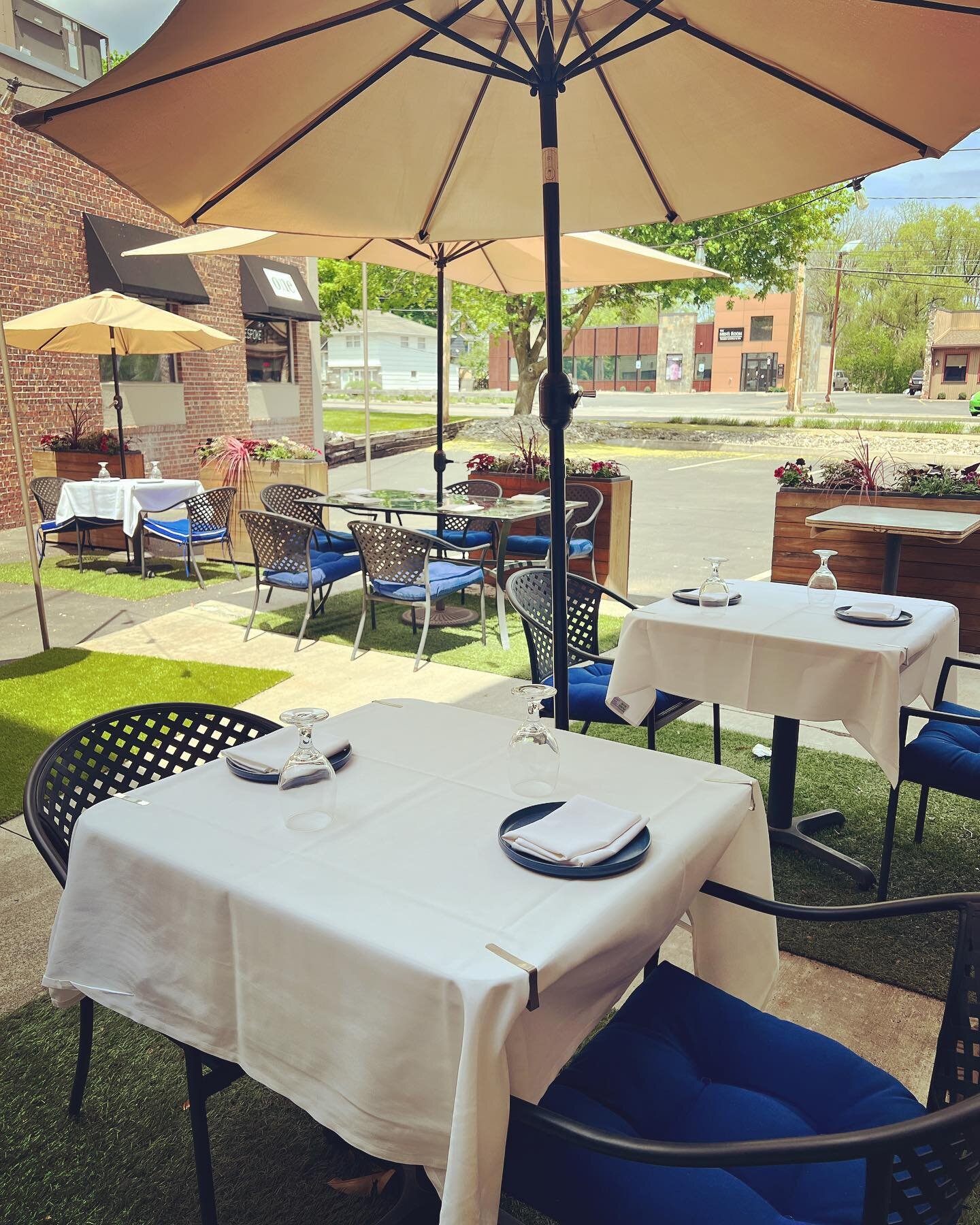 AVVINO | La Bola | Rochester, NY