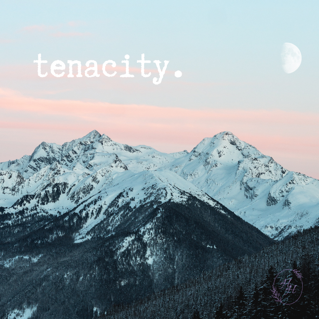 tenacity — Hope with Heather