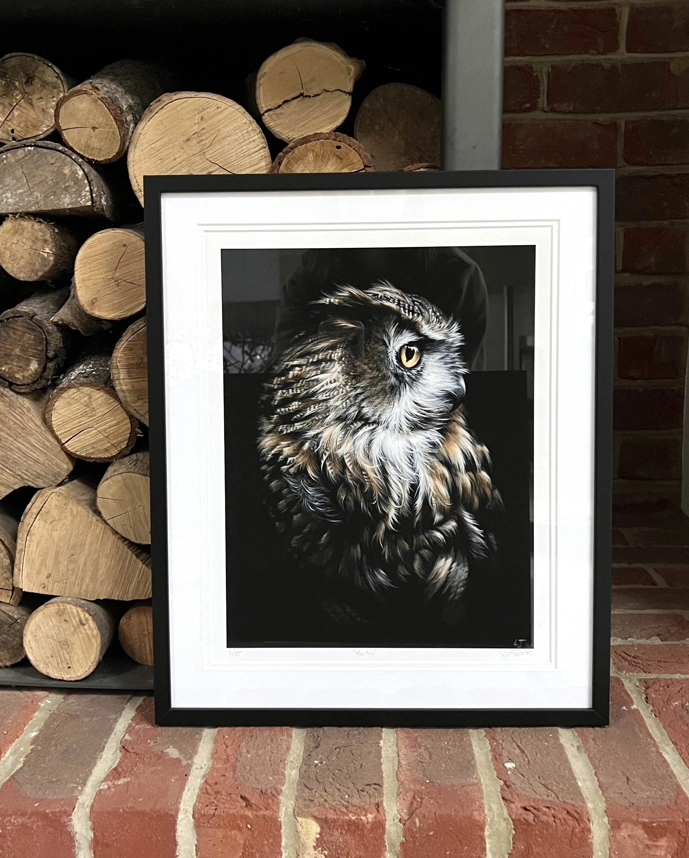 Shop Prints and Original Artwork by Lucy Joyce — Mrs Joyce Draws