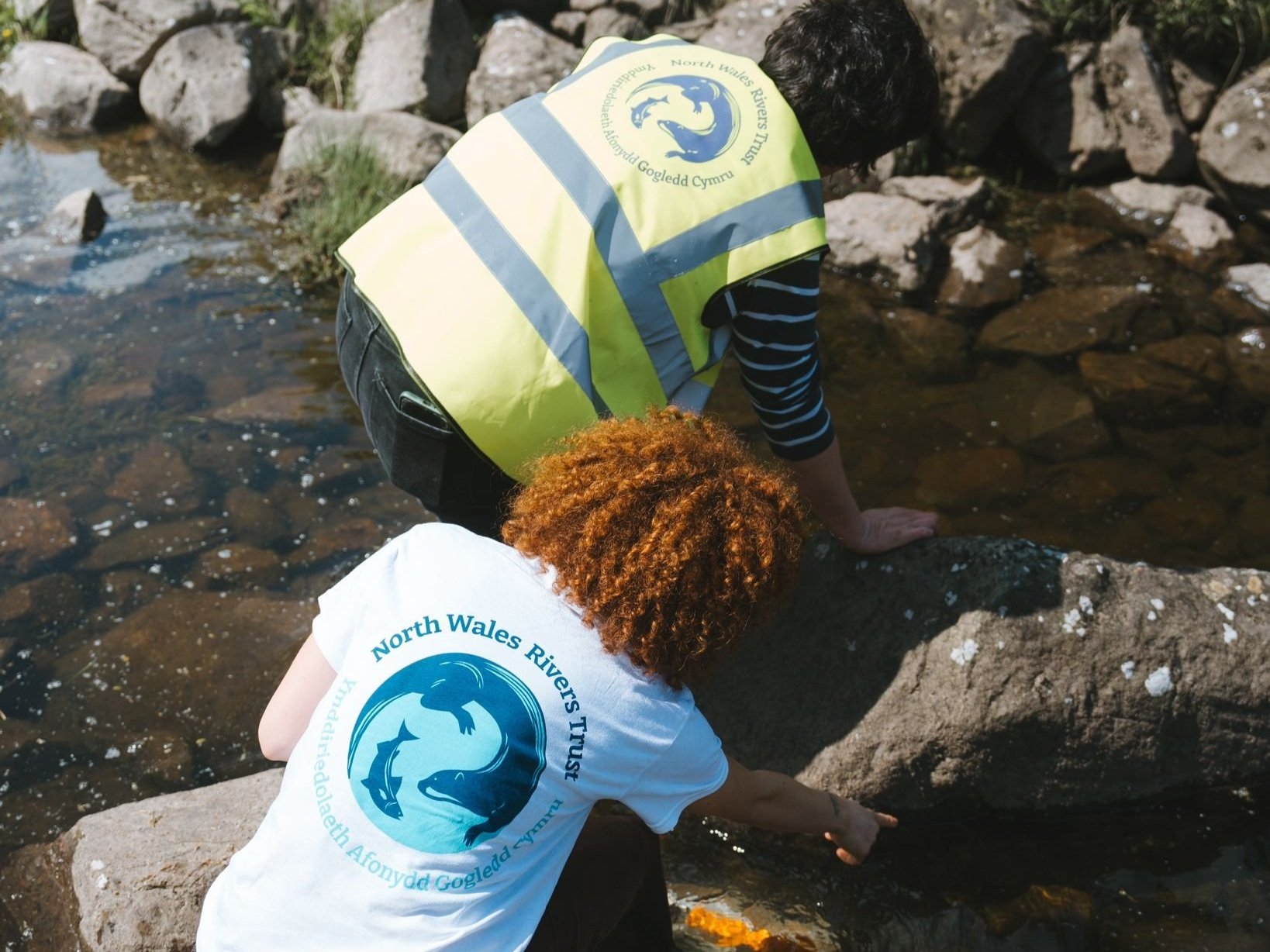Lab Dwr Citizen Science — North Wales Rivers Trust