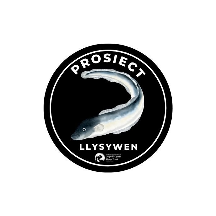 Get Involved — North Wales Rivers Trust