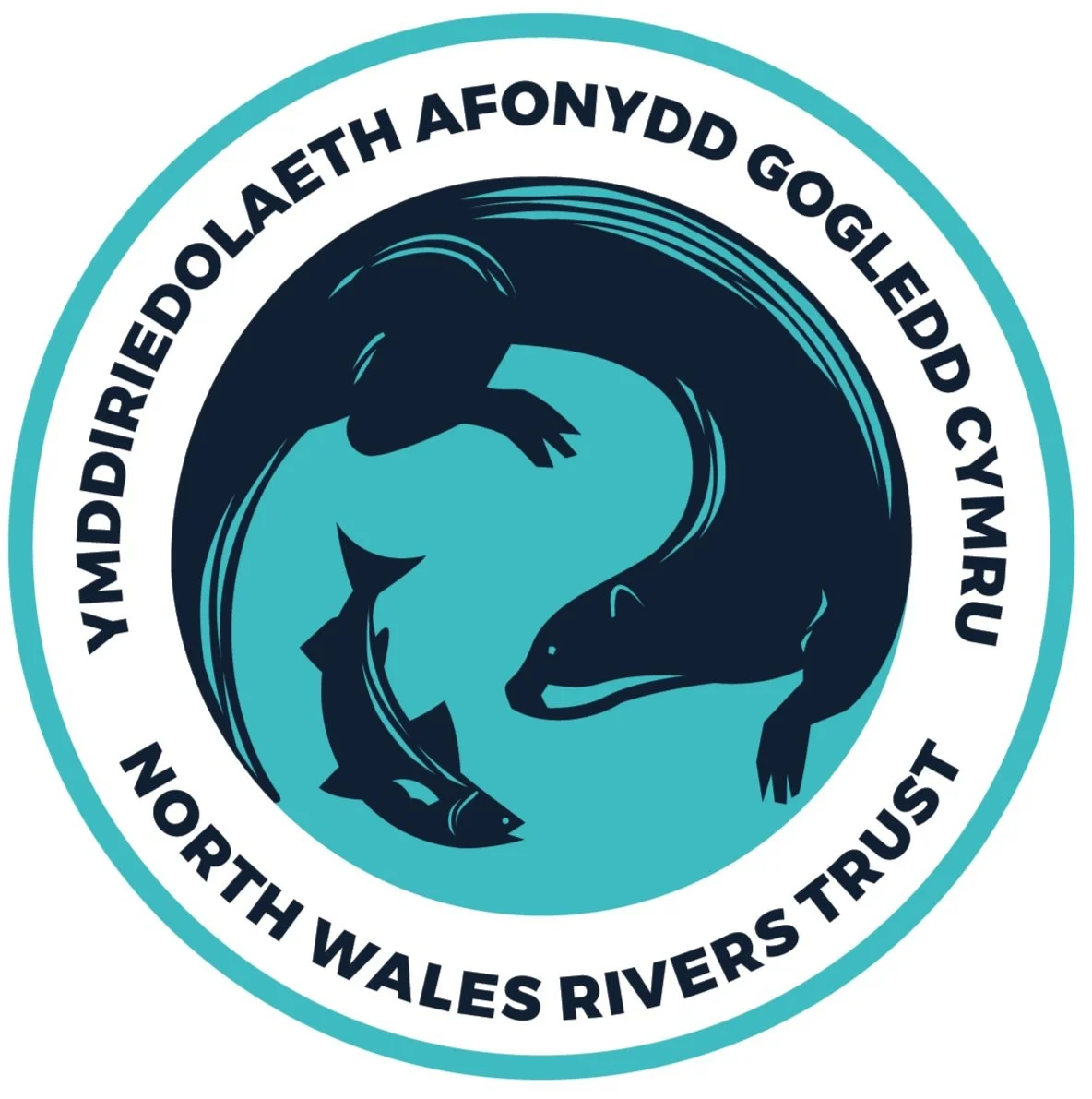 What impact is litter having on our rivers? — North Wales Rivers Trust