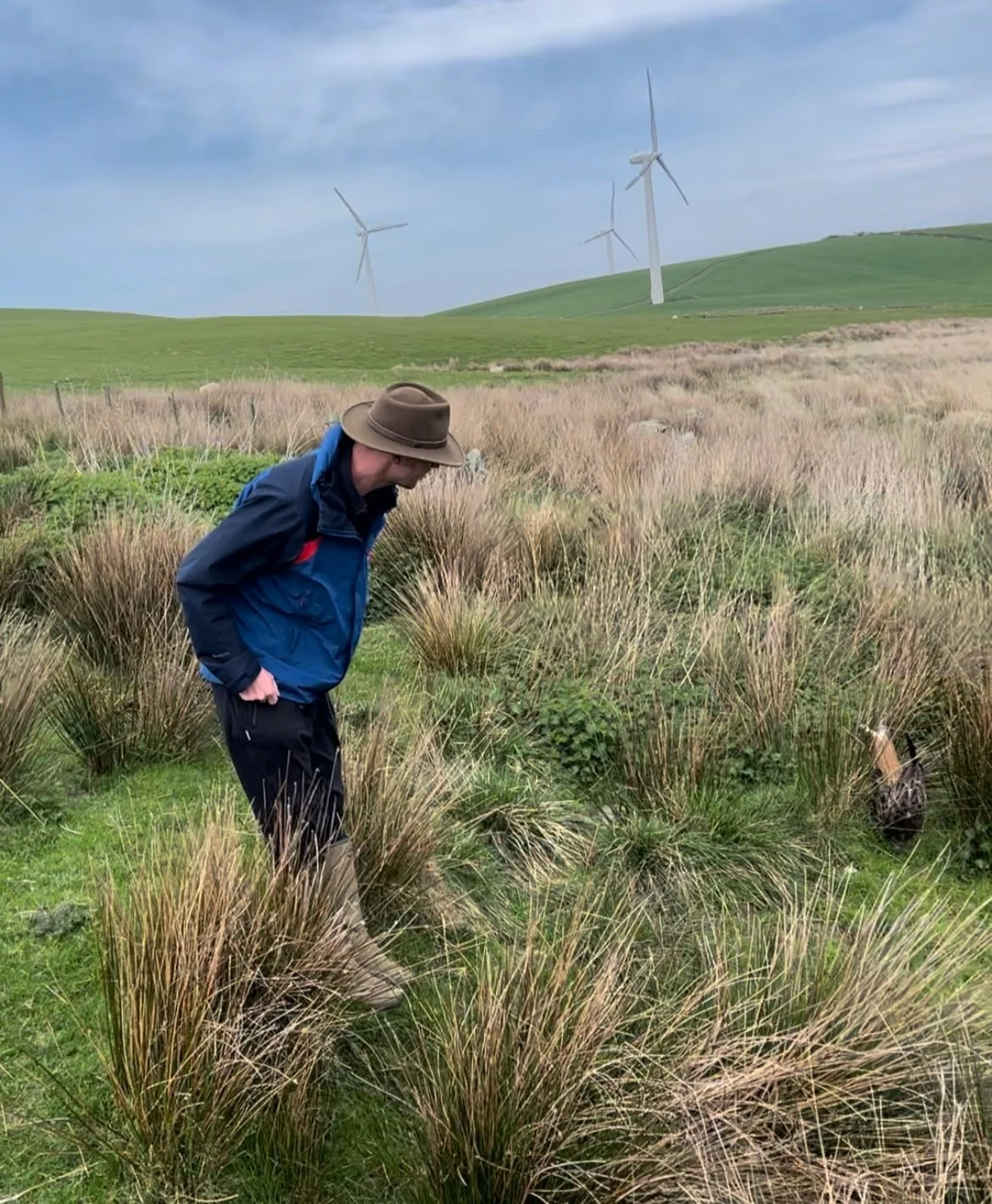 Out on the Afon Leri planning natural flood management plans — North ...