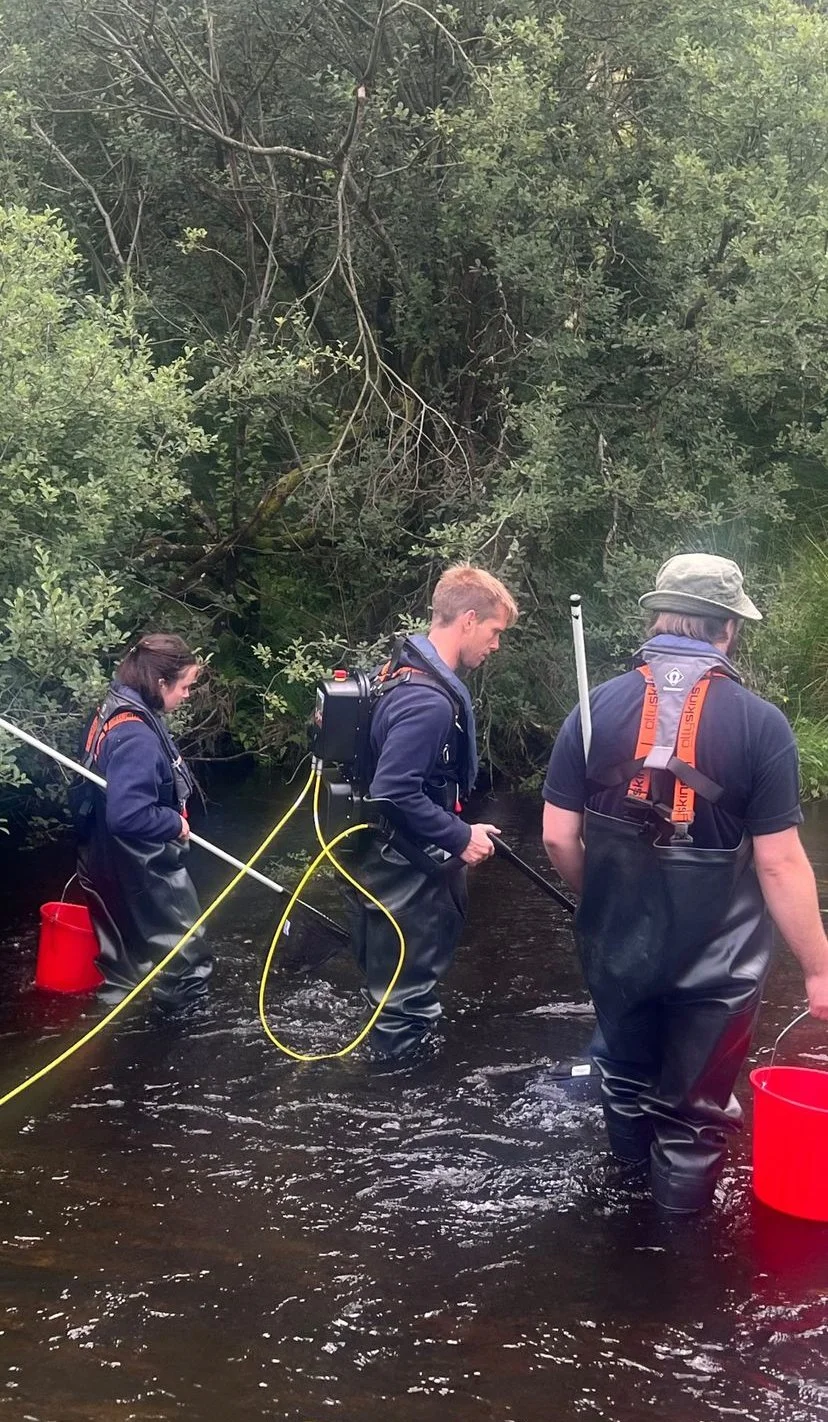 Understanding Electrofishing: A Vital Tool for Fish Population ...