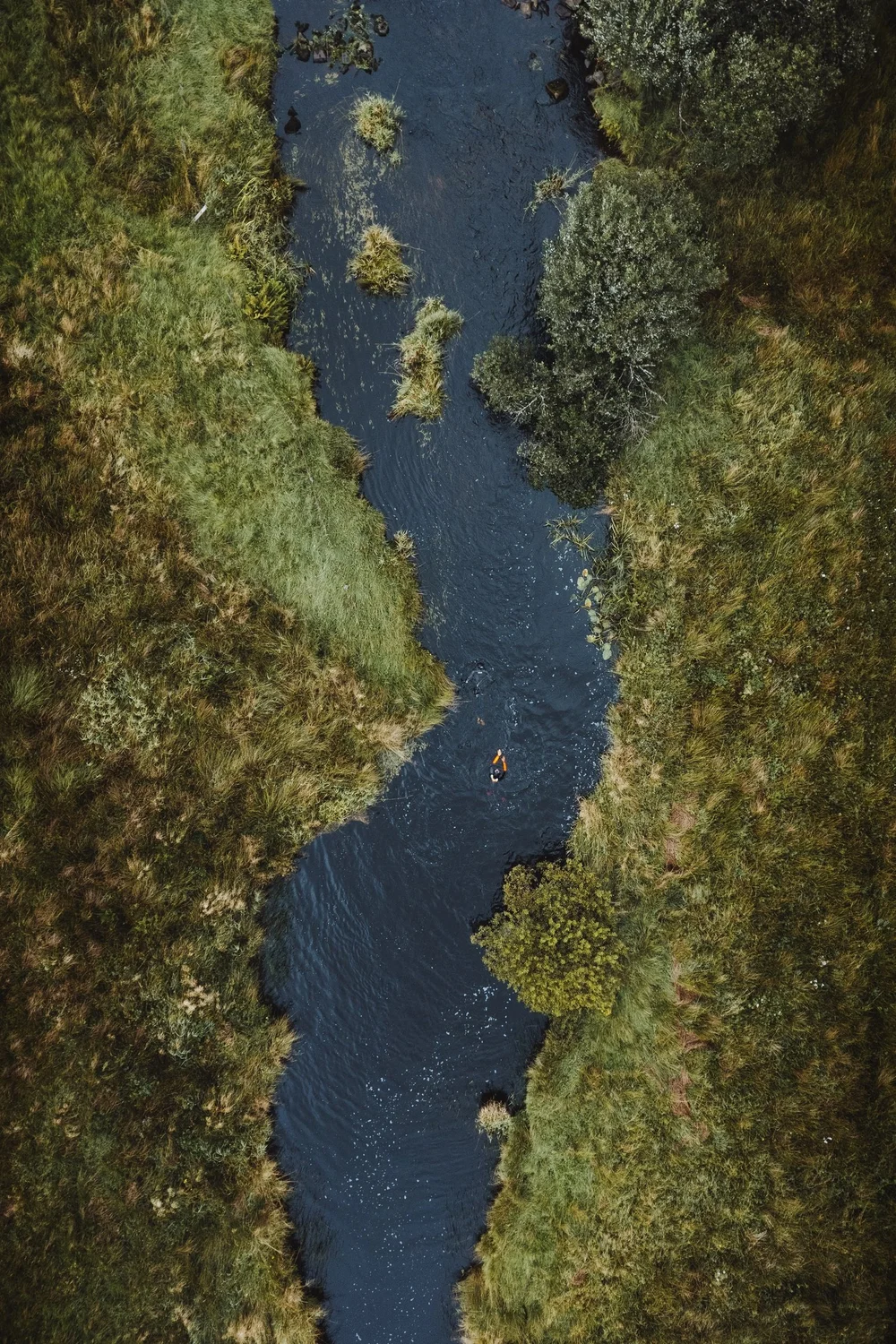 Freshwater Pearl Mussel Project — North Wales Rivers Trust