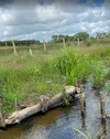 Why Re-Wiggle Rivers? — North Wales Rivers Trust