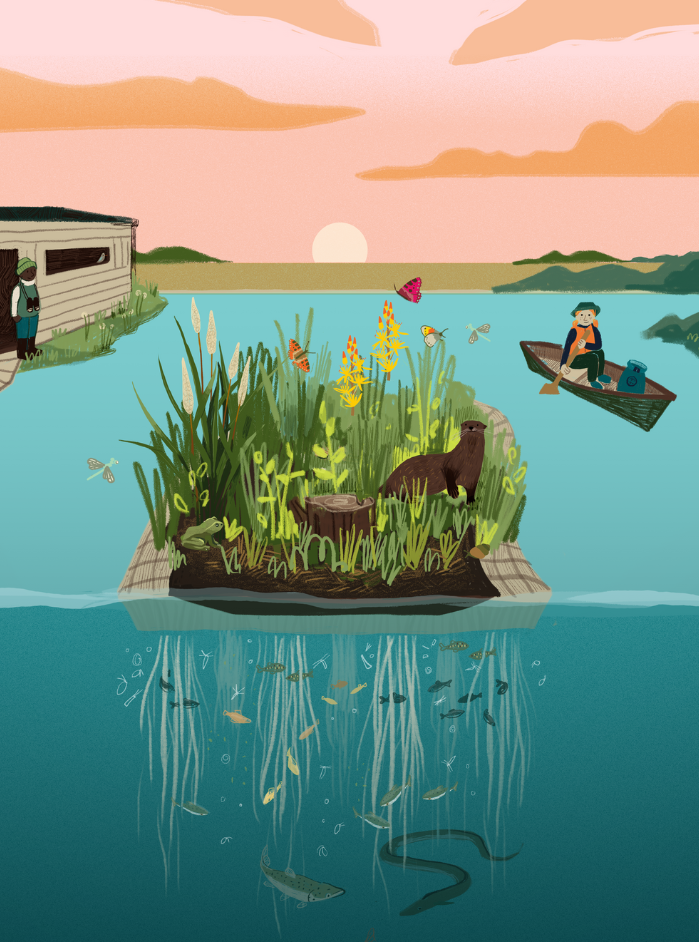 Floating Wetlands | Innovative Solutions for Eutrophication in North ...