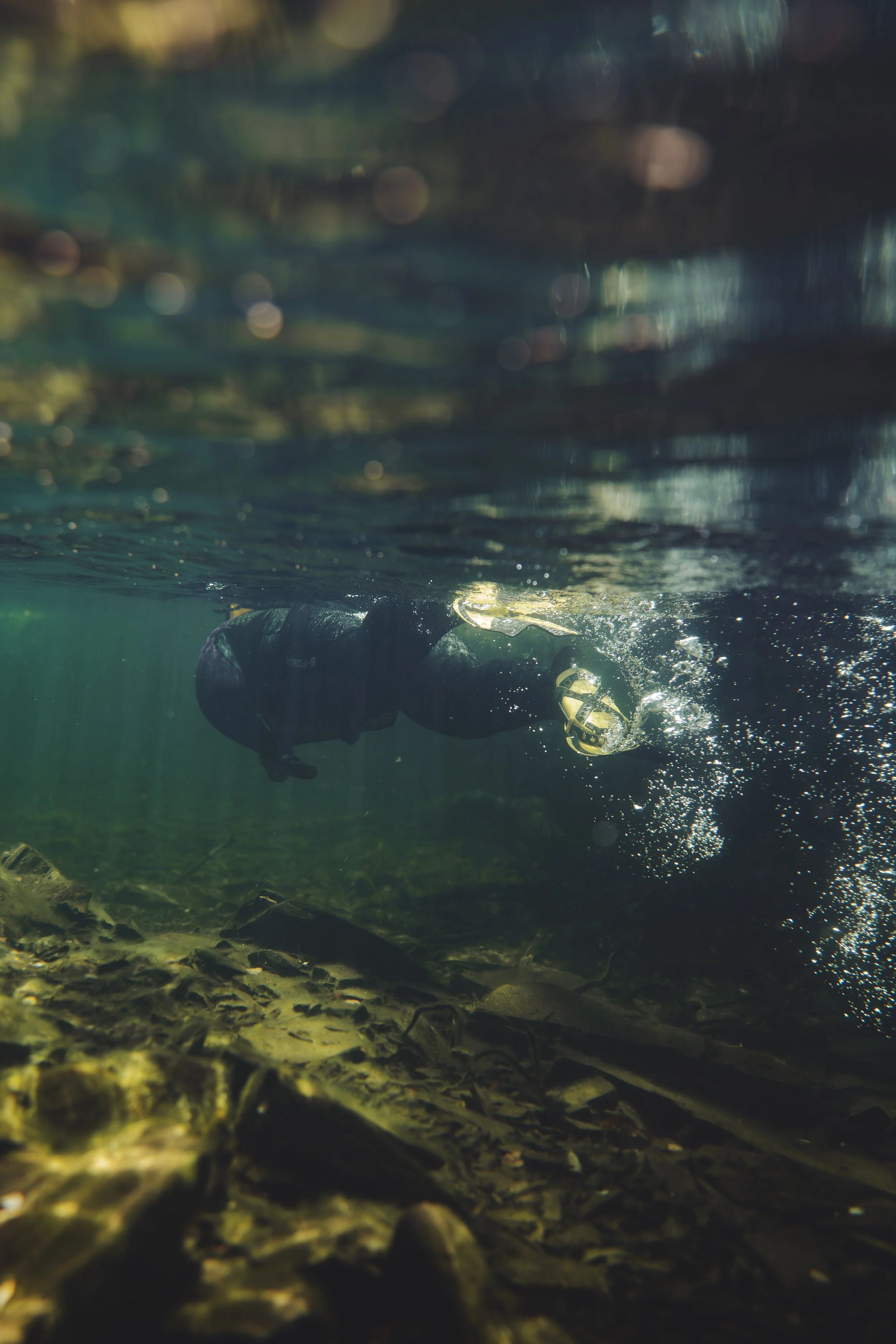 North Wales Rivers Trust