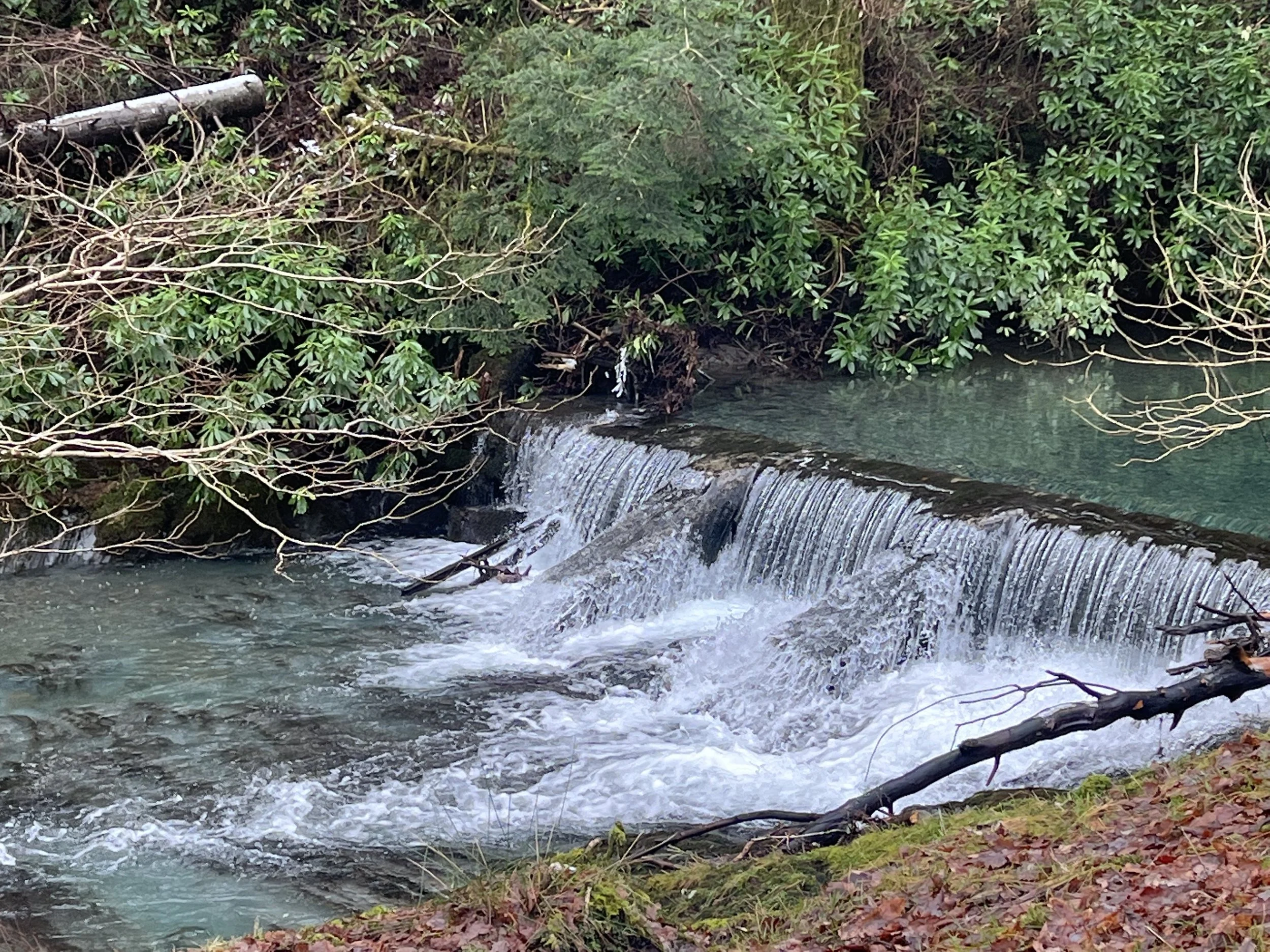 Open Rivers… — North Wales Rivers Trust