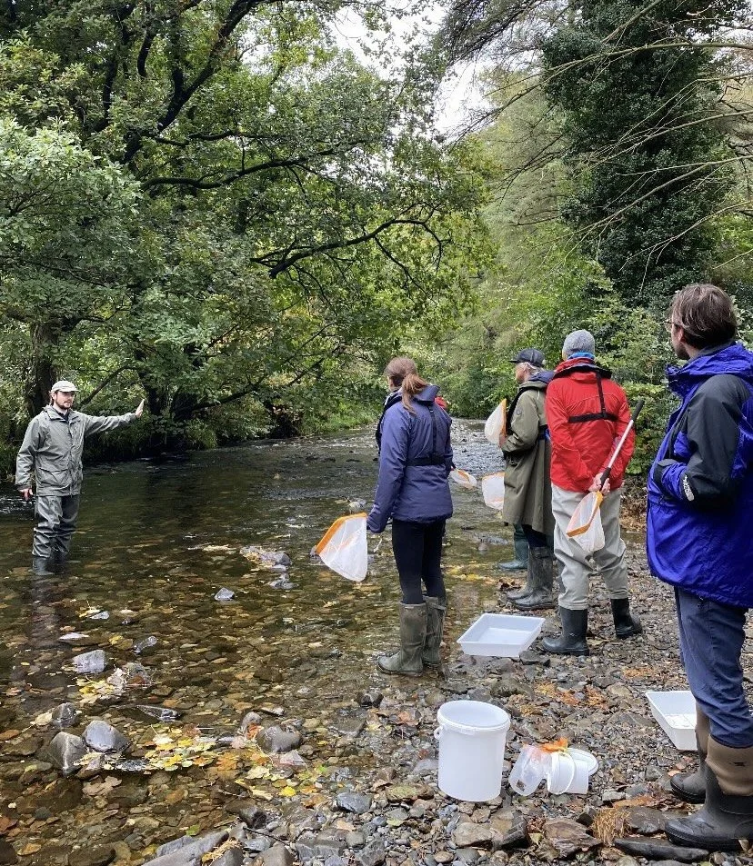 Prosiect Torgoch | Support Arctic Char Conservation — North Wales ...