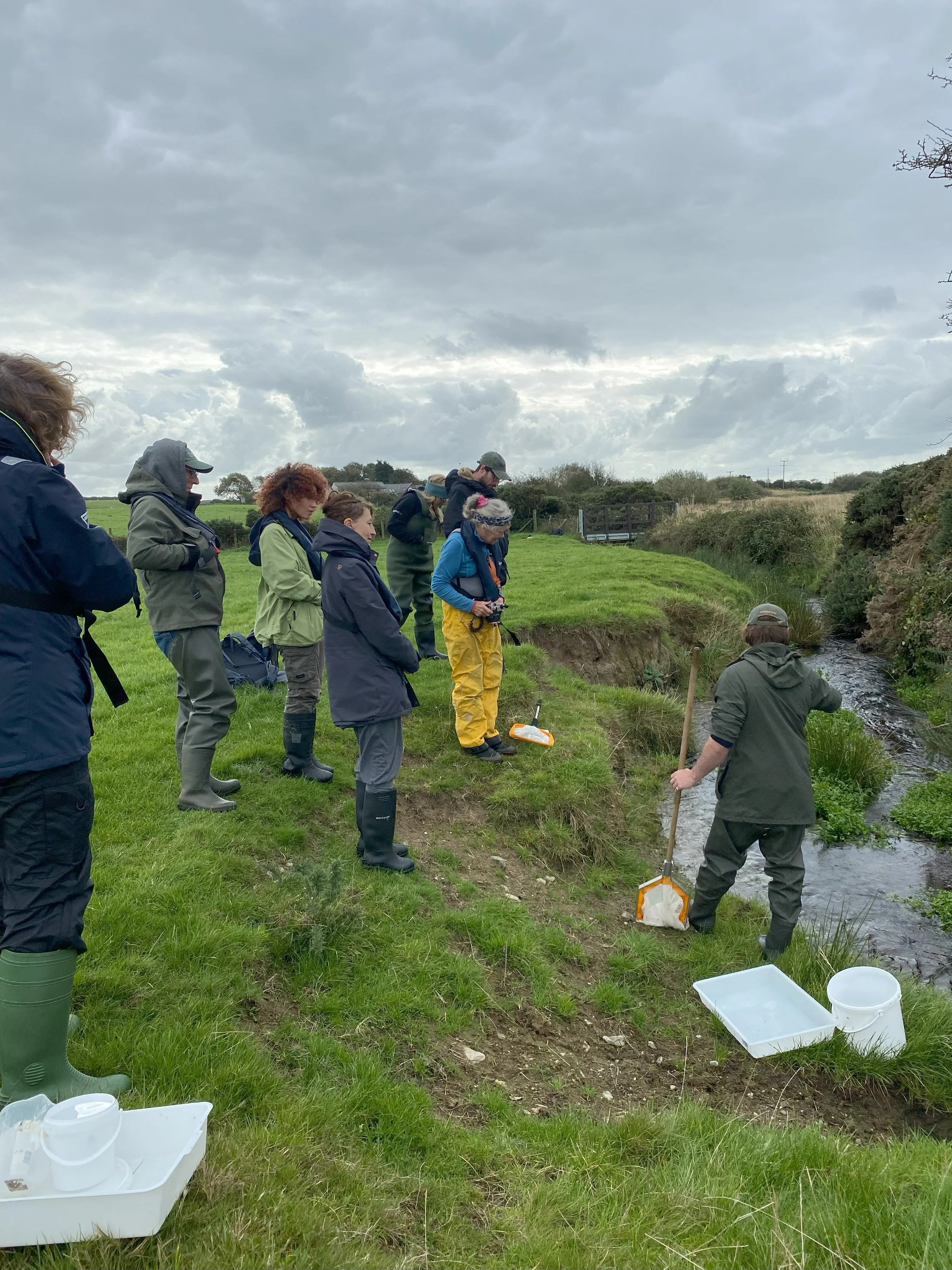 FOUR SMART RIVER HUBs established — North Wales Rivers Trust