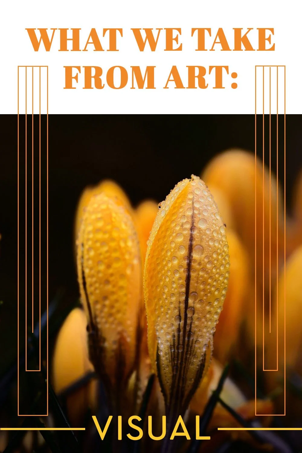 What We Take From Art: Visual — Anung Vilay