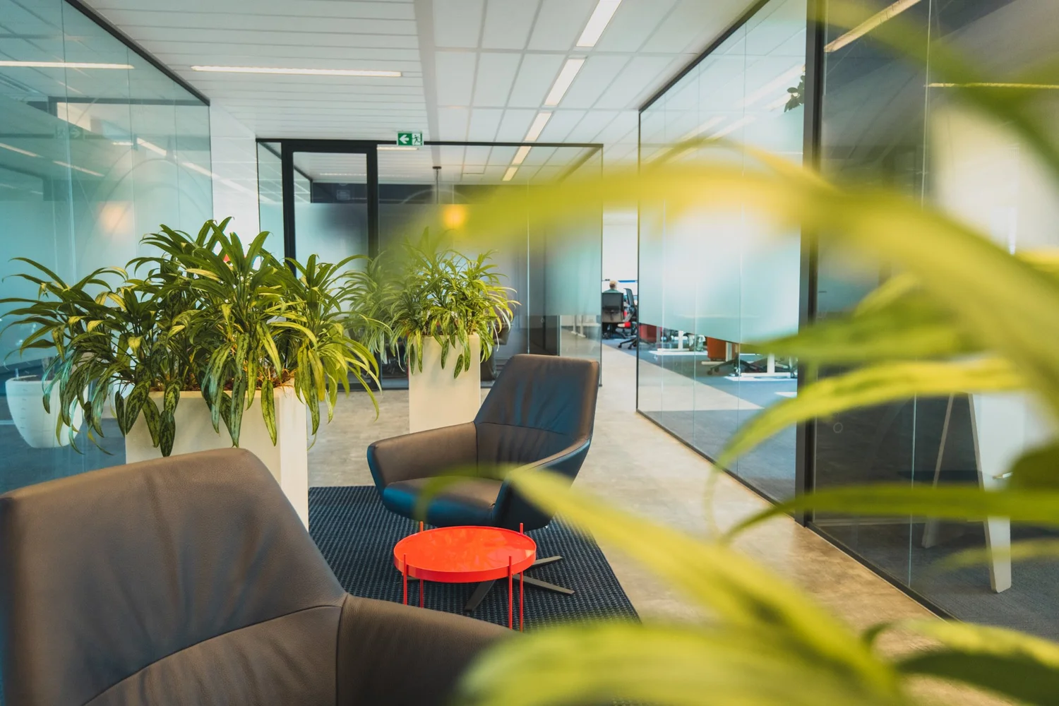 CODE24 | EHR and open platform for data-driven care