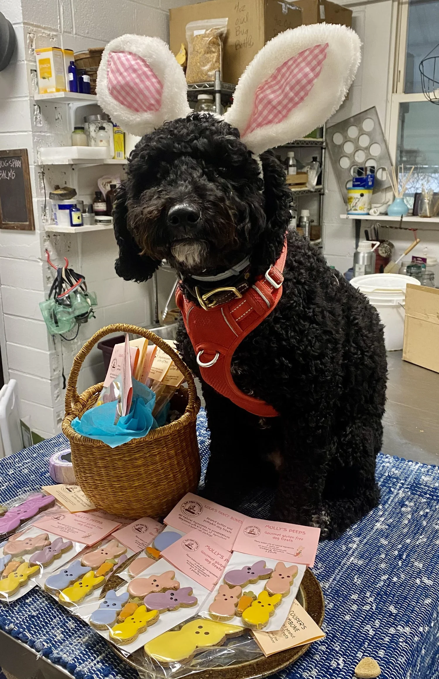 Other Goodies — Sea Hag Soaps & More handmade soaps and much more