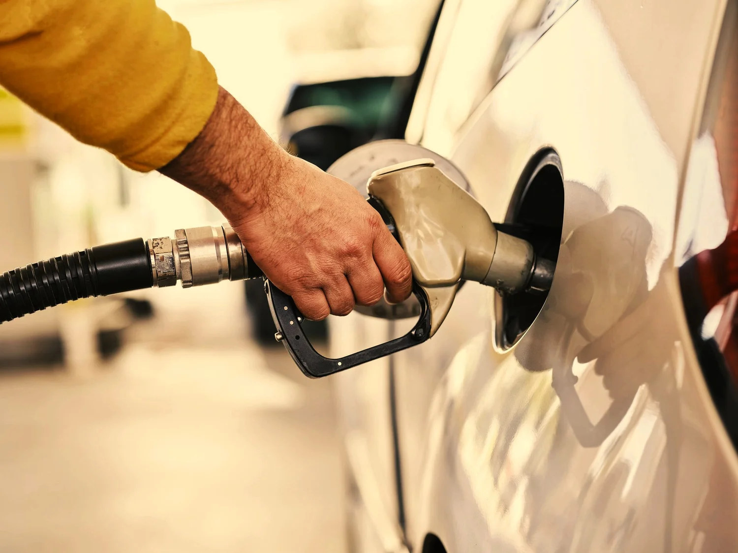 The Restored Church of God & David C. Pack Exposed