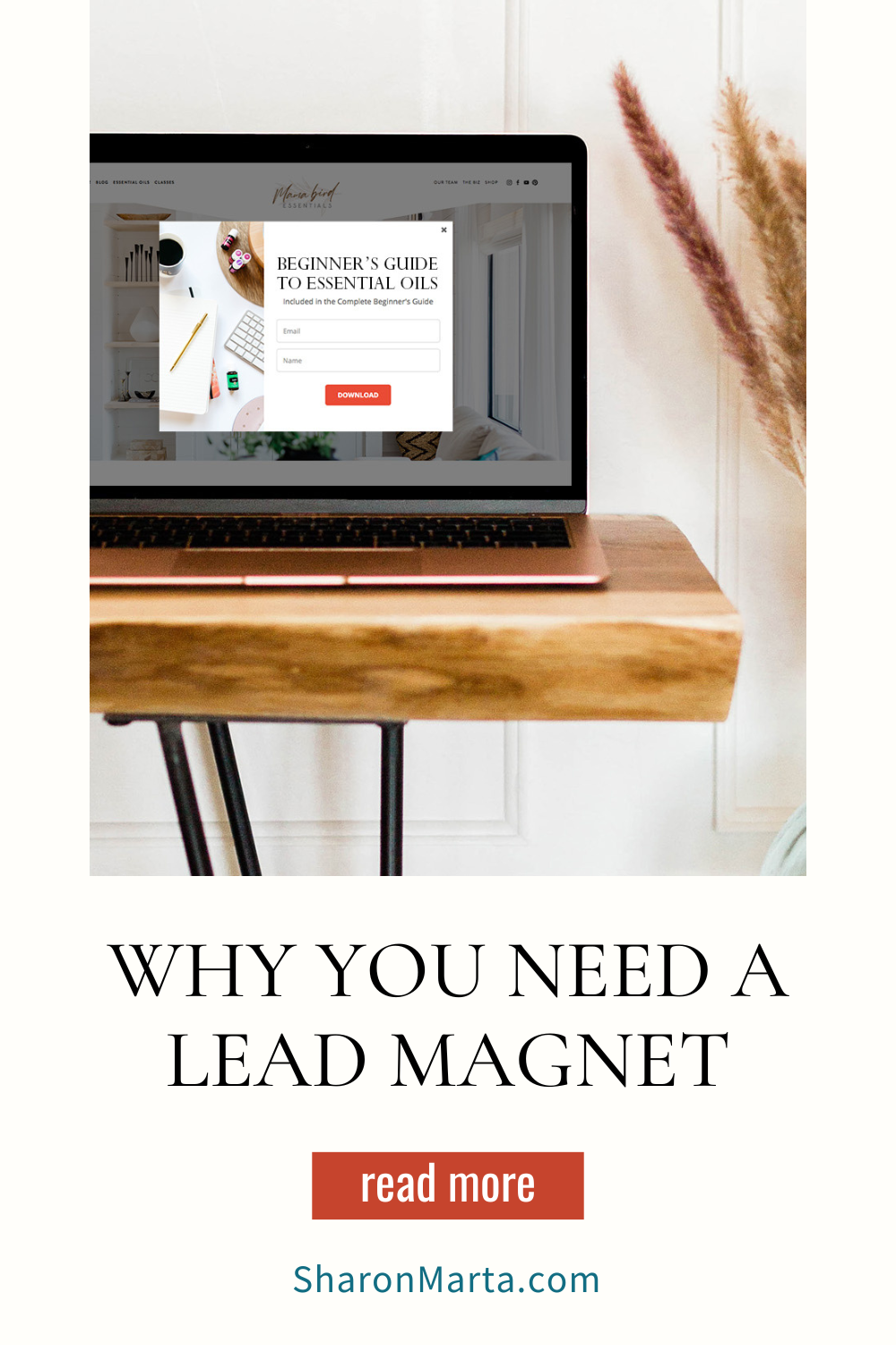 Why You Need A Lead Magnet/Email Opt-in — SM Creative