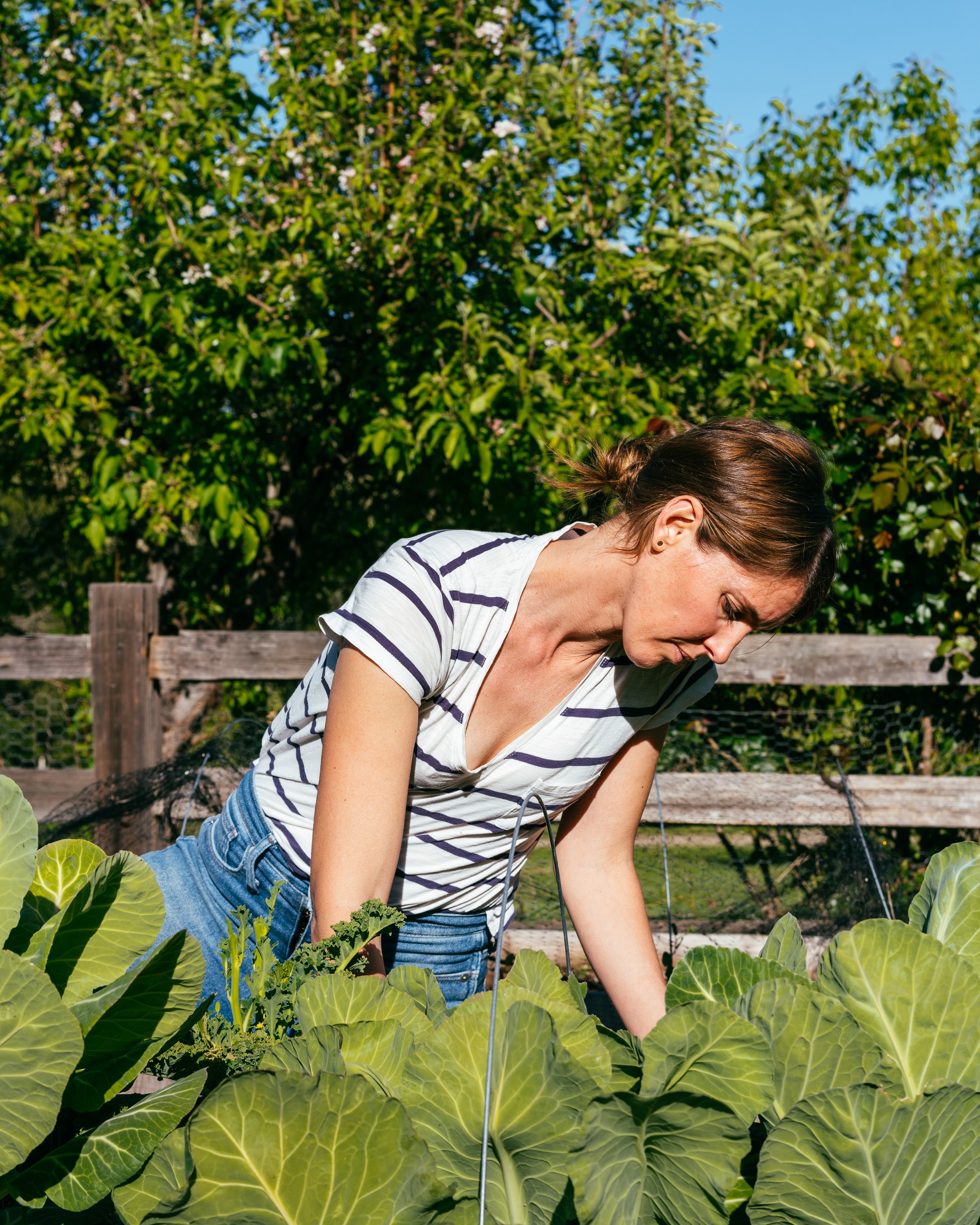 A Letterpress Studio in Napa Valley — Shipwright and Co