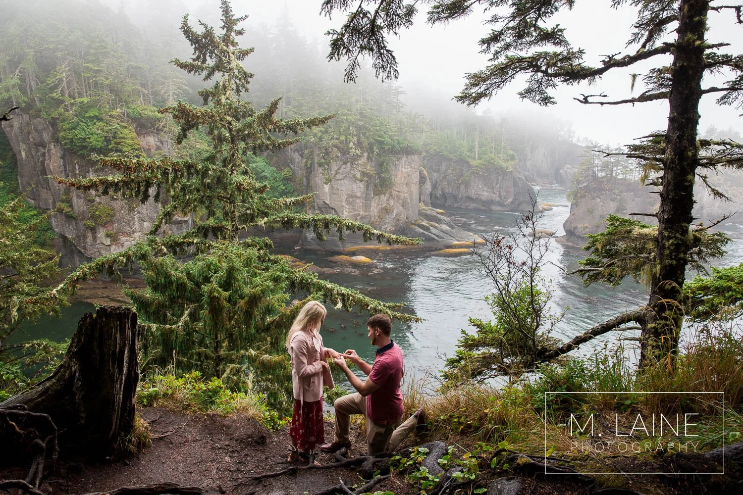 Dramatic West Coast Cliffside Marriage Proposal — M. Laine Photography