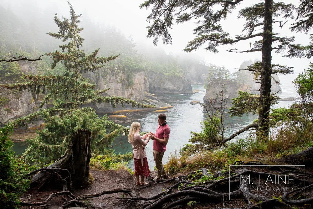 Dramatic West Coast Cliffside Marriage Proposal — M. Laine Photography