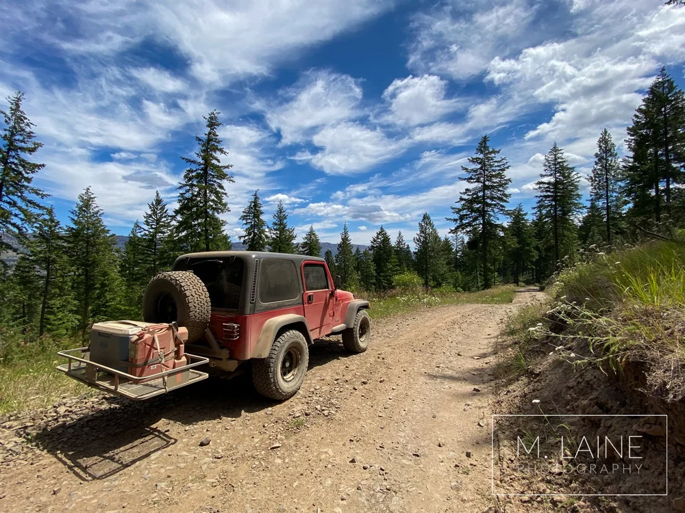 Why You Should Go Overlanding for Your Elopement — M. Laine Photography