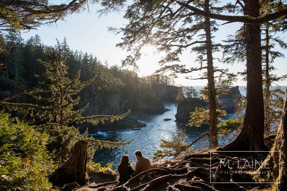 Washington State Marriage Proposal — M. Laine Photography