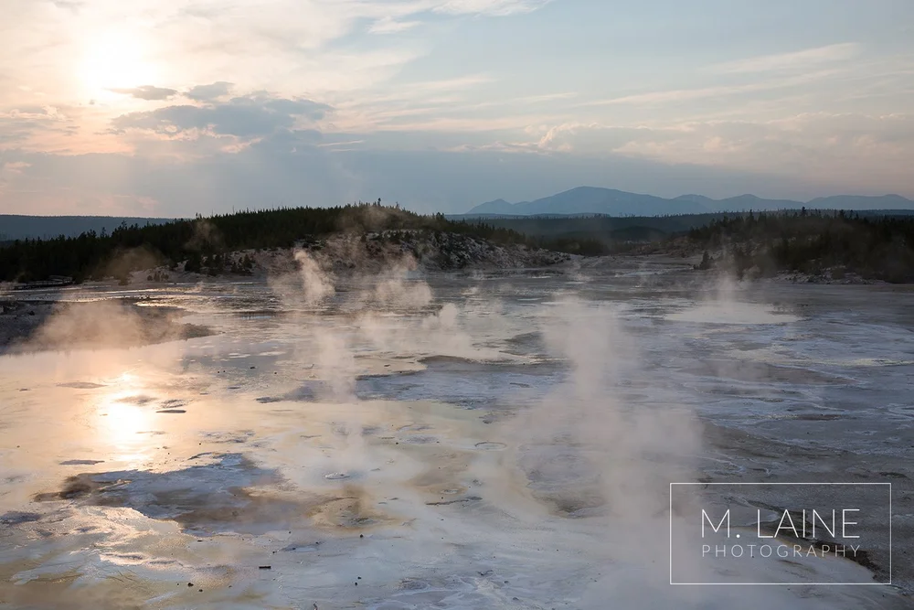 One Week In Yellowstone National Park — M. Laine Photography