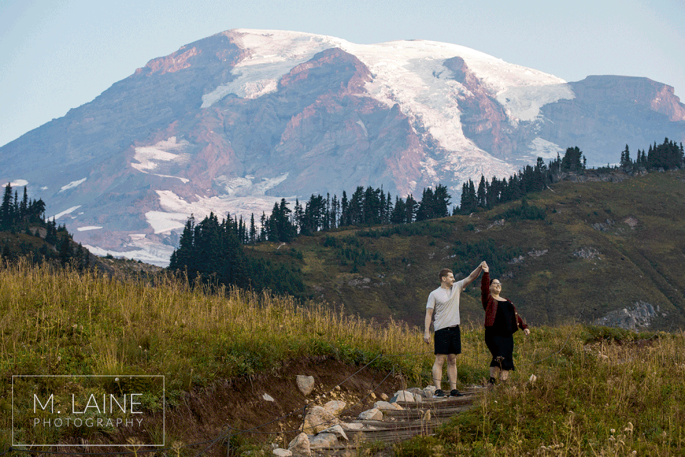 Your Guide to Proposing at Mount Rainier National Park — M. Laine ...