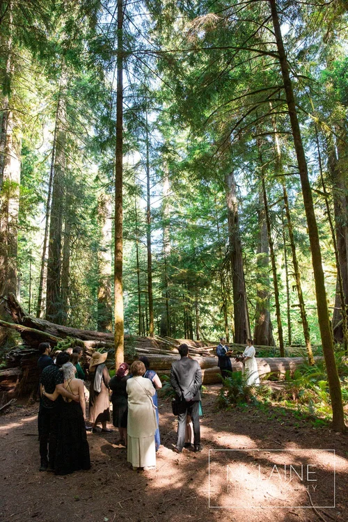Washington Forest Wedding Venues (Updated for 2025) — M. Laine Photography