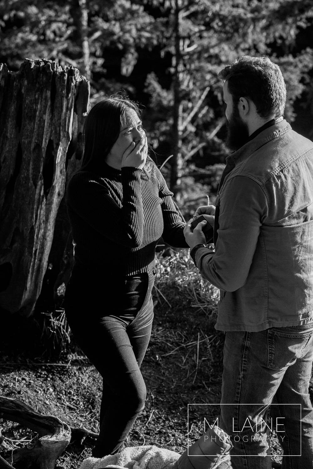 Washington State Marriage Proposal — M. Laine Photography
