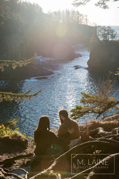 Washington State Marriage Proposal — M. Laine Photography