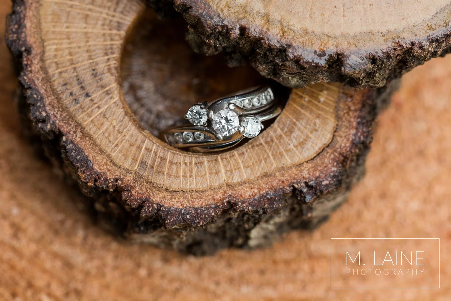 Carnation Tree Farm Wedding — M. Laine Photography