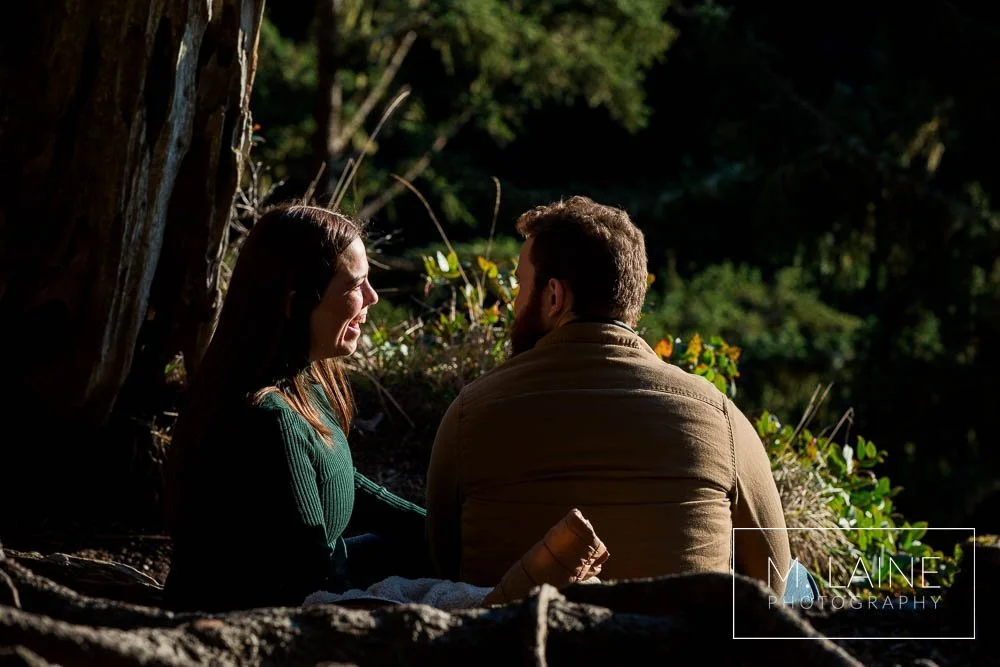 Washington State Marriage Proposal — M. Laine Photography