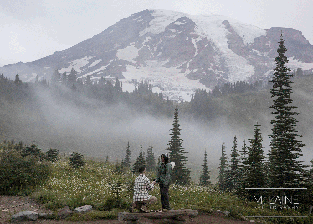 Your Guide to Proposing at Mount Rainier National Park — M. Laine ...