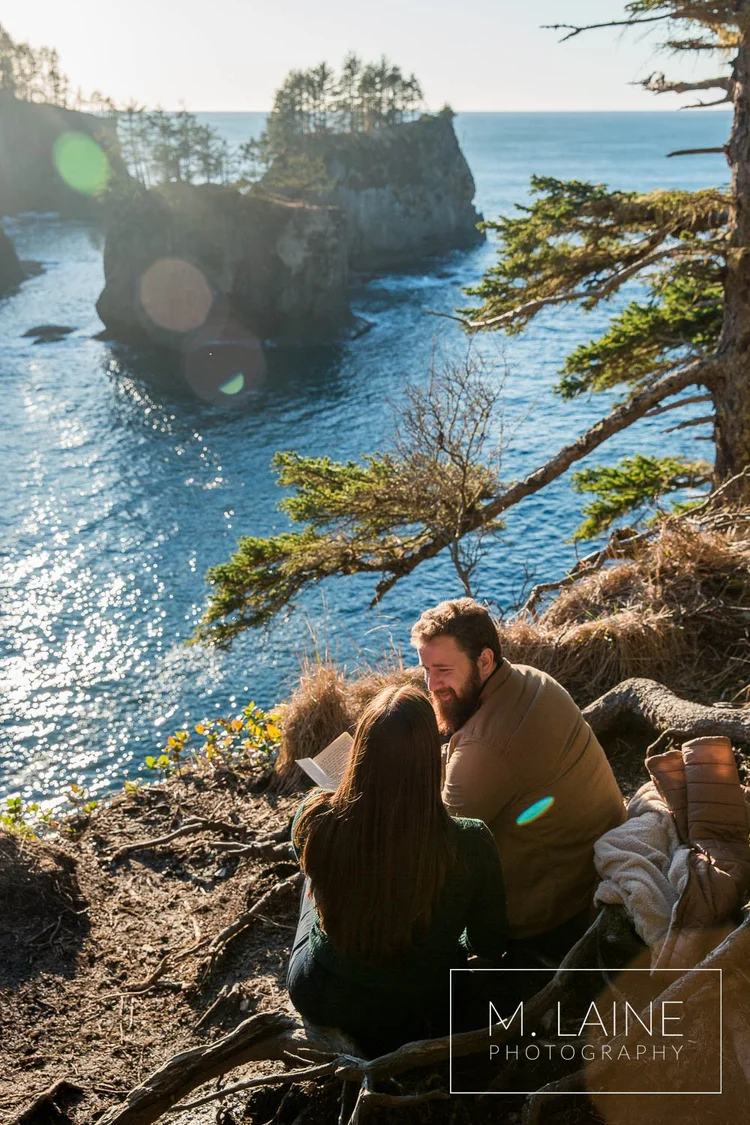 Washington State Marriage Proposal — M. Laine Photography