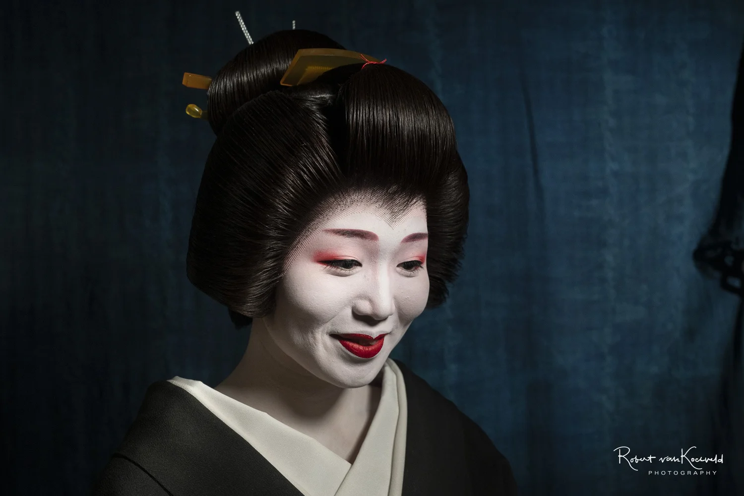 Geiko and Maiko Gallery Images for Robert van Koesveld — Robert van ...