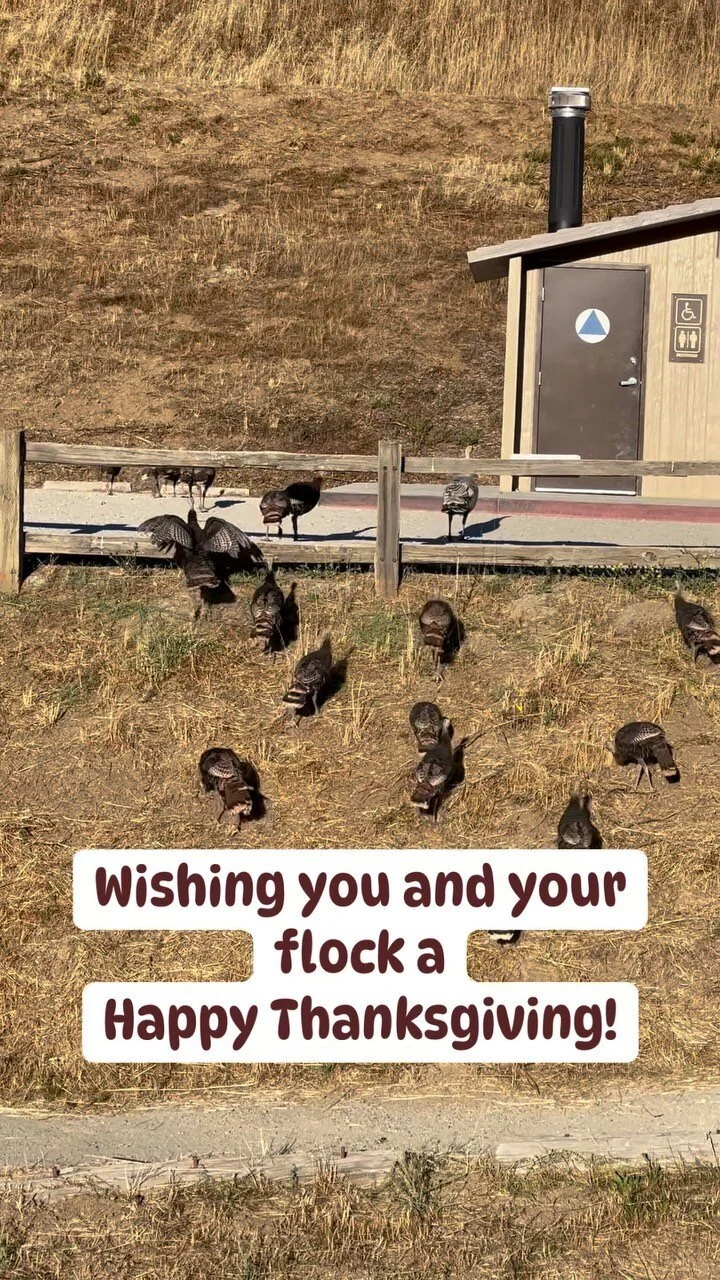 Midpeninsula Rangers Peace Officers Association