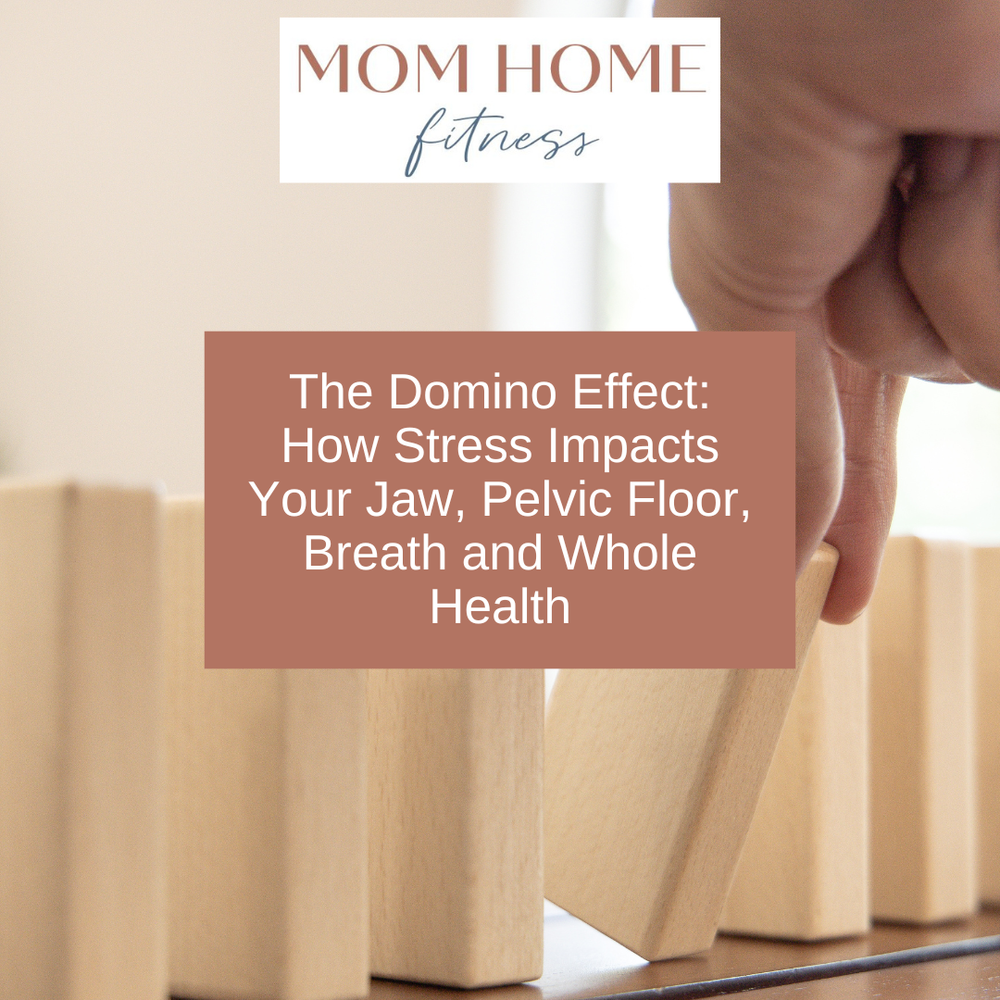 Fitness Blog — Mom Home Fitness