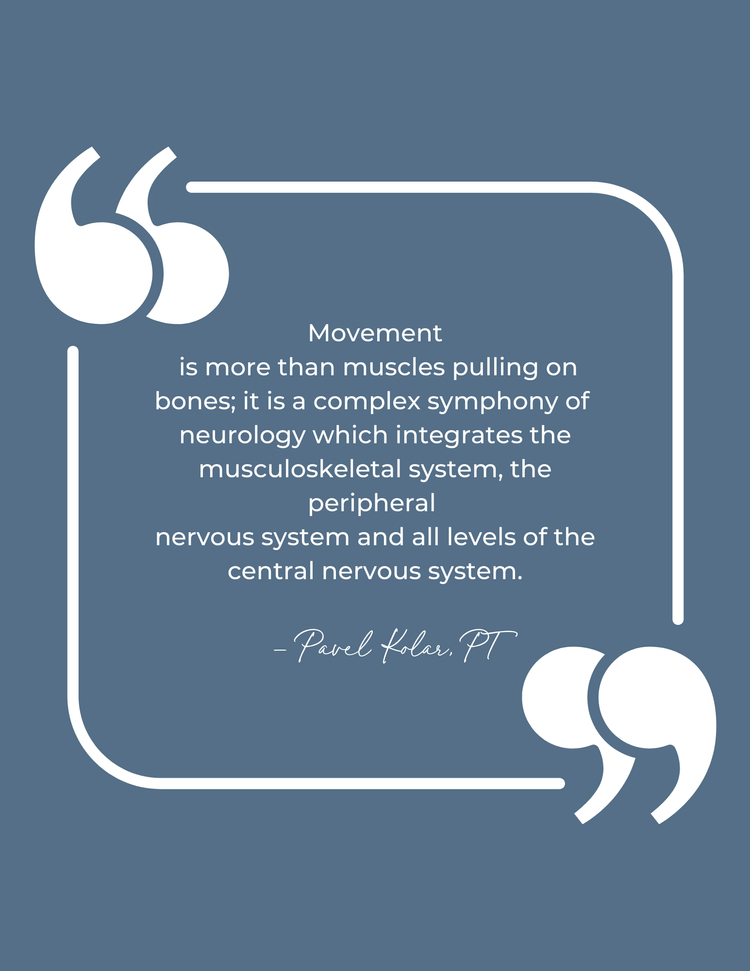 Dynamic Neuromuscular Stabilization (DNS) and Postpartum Recovery — Mom ...